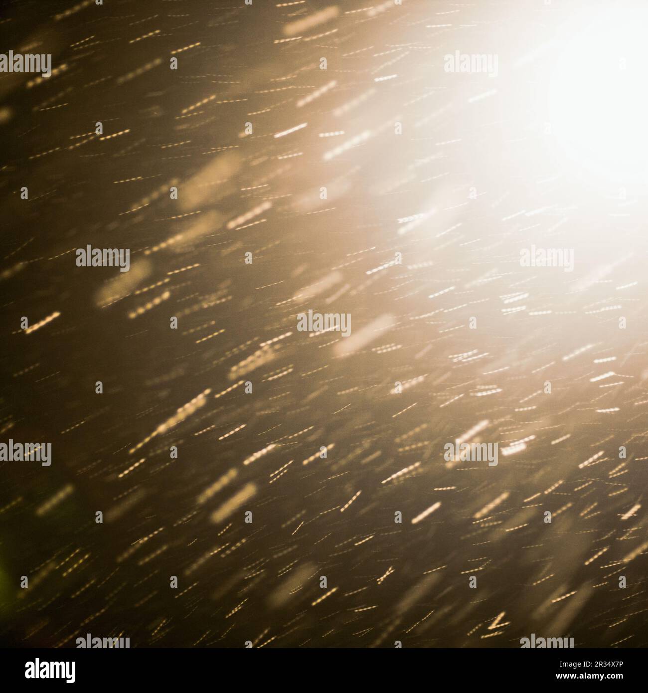 Light blizzard hi-res stock photography and images - Alamy