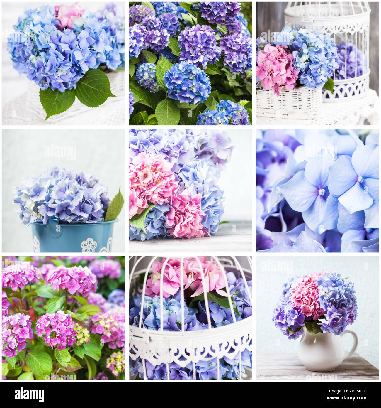 Wedding beauty Cut Out Stock Images & Pictures - Alamy