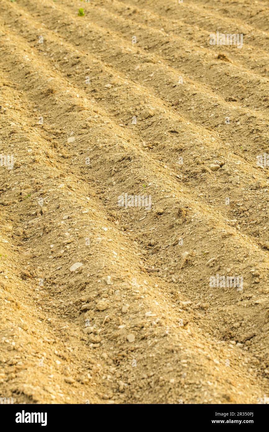 Straight furrows hi-res stock photography and images - Alamy