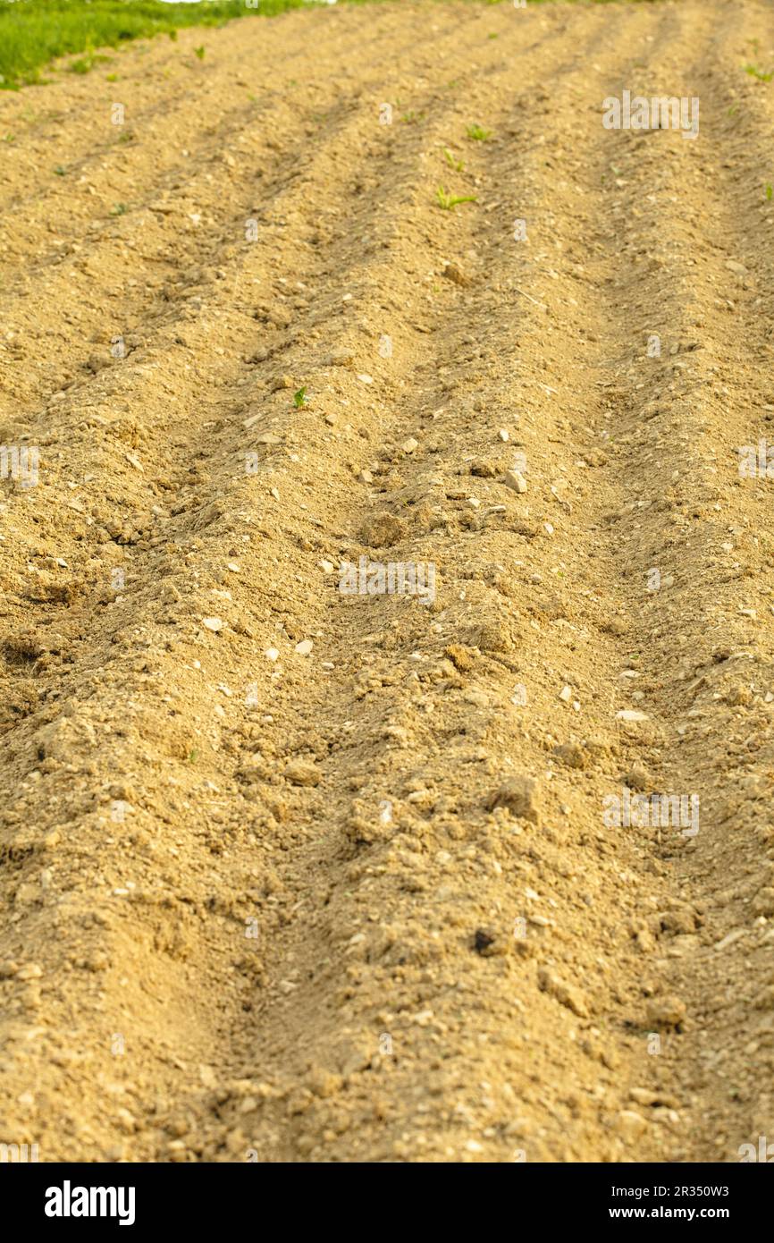 Straight furrows hi-res stock photography and images - Alamy