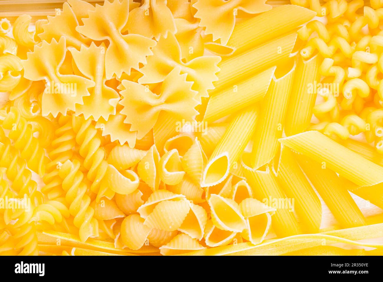 Various shell types hi-res stock photography and images - Alamy