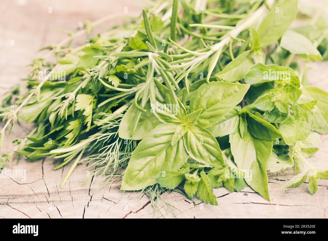 Herbs texture hi-res stock photography and images - Alamy