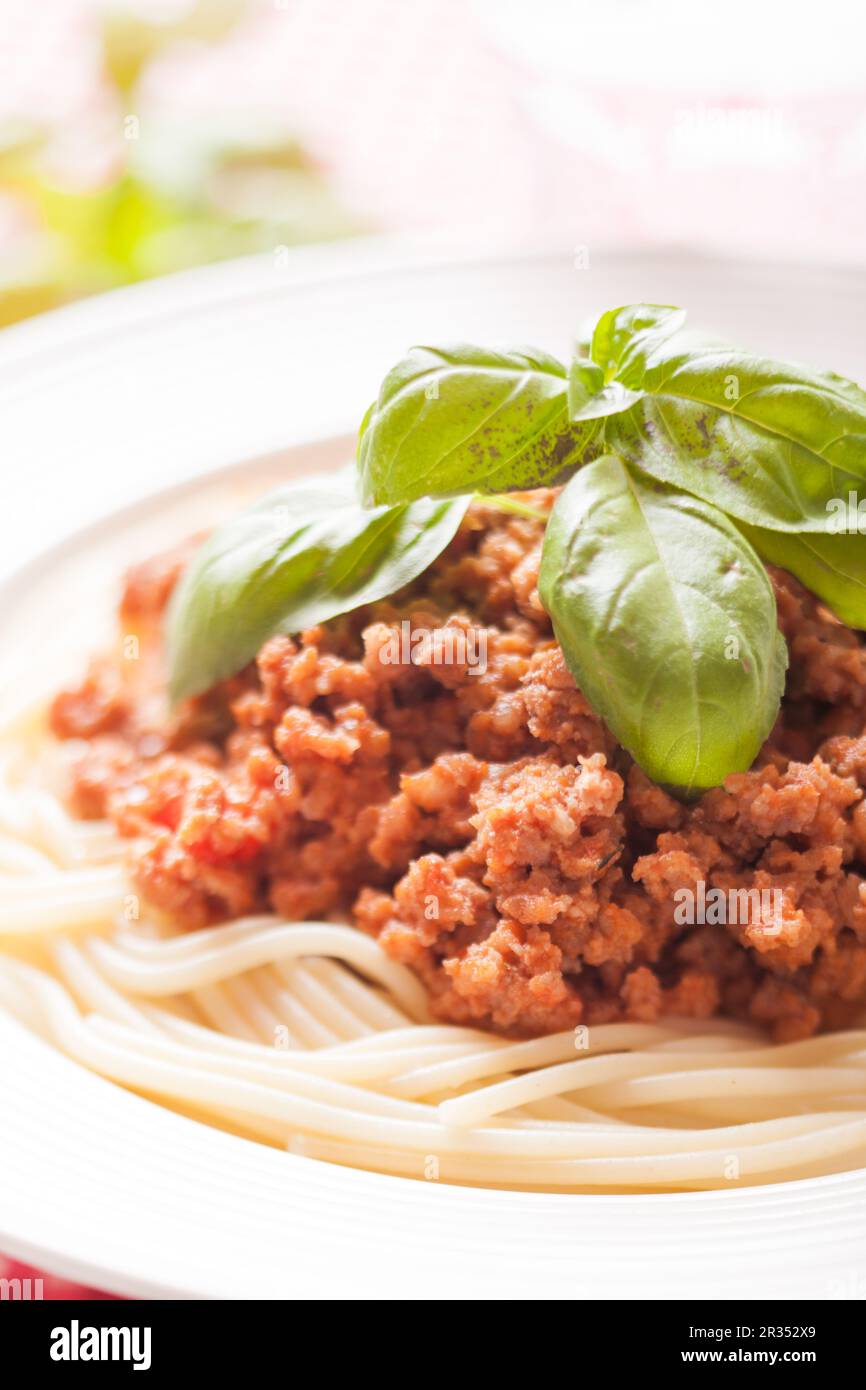 Plate spaghetti bolognese parmesan hi-res stock photography and images ...