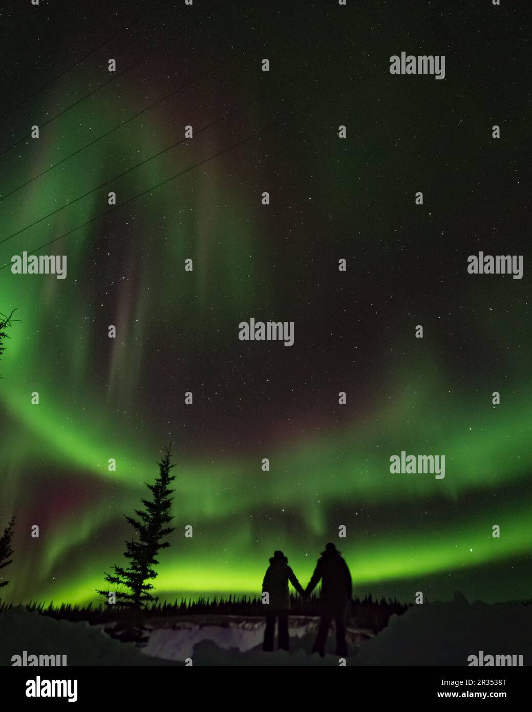 Northern lights display seen in northern Canada, Yukon Territory ...