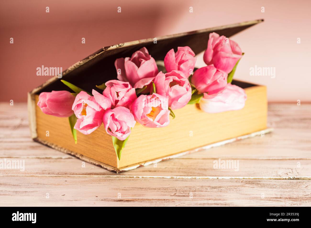 Tulips in pretty flower hi-res stock photography and images - Alamy