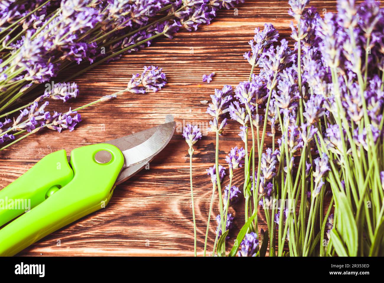 Cutting herb hi-res stock photography and images - Alamy