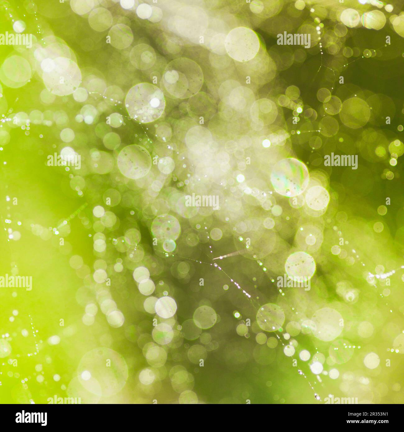 Inspiration network hi-res stock photography and images - Alamy