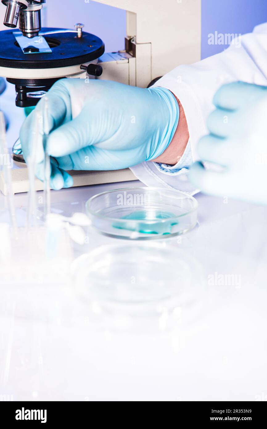 Doctor doing research using microscope hi-res stock photography and ...