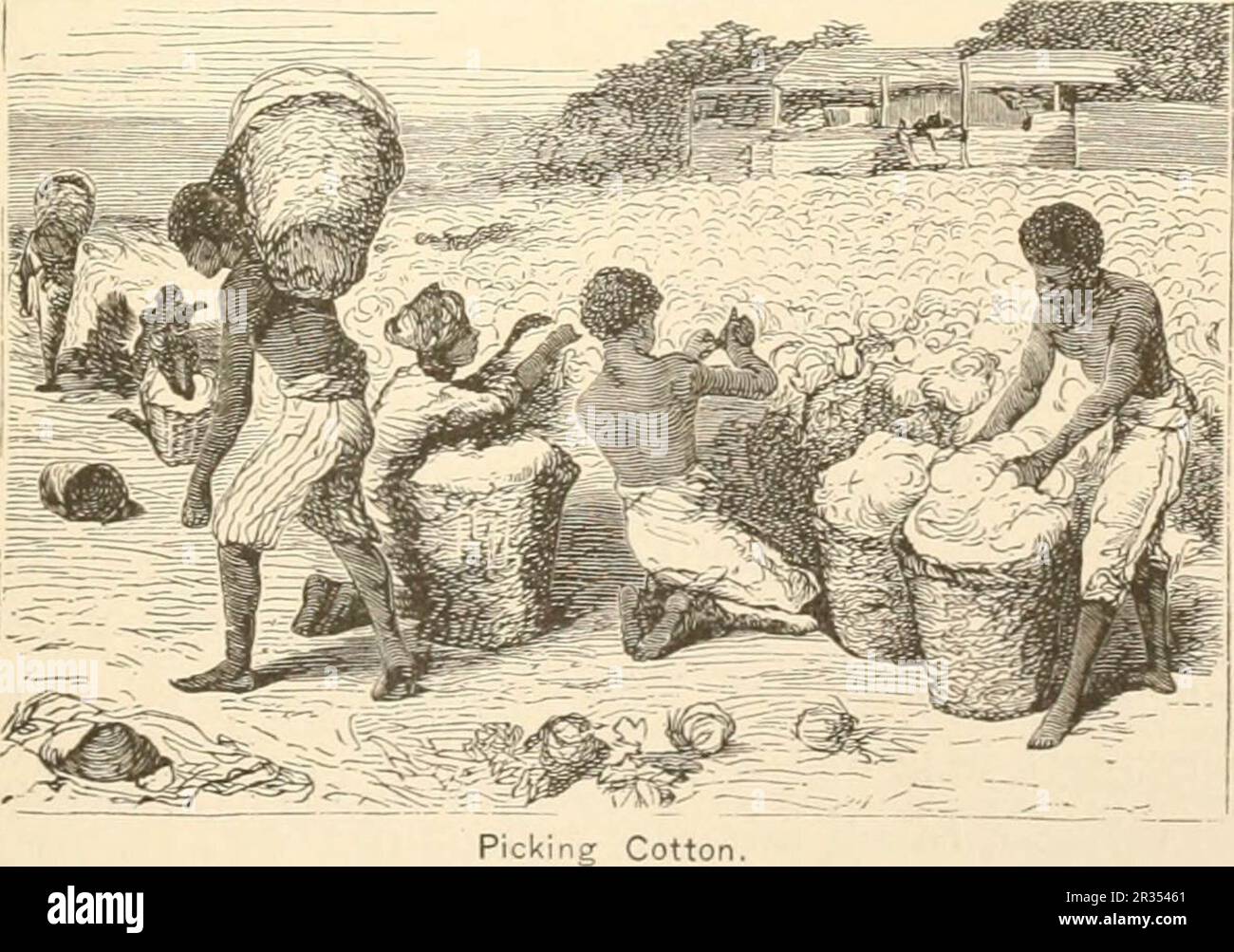 "The history of our country from its discovery by Columbus to the ...