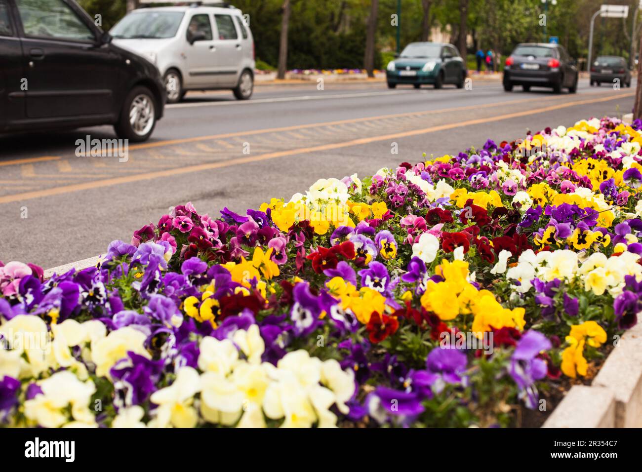 Botany road hi-res stock photography and images - Alamy
