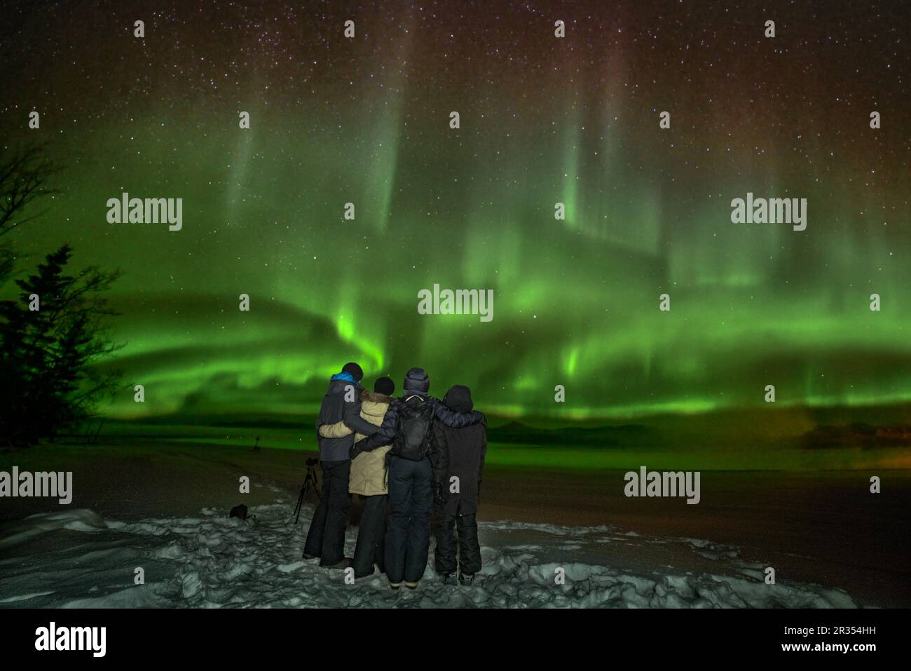 Northern lights display seen in northern Canada, Yukon Territory. Four ...