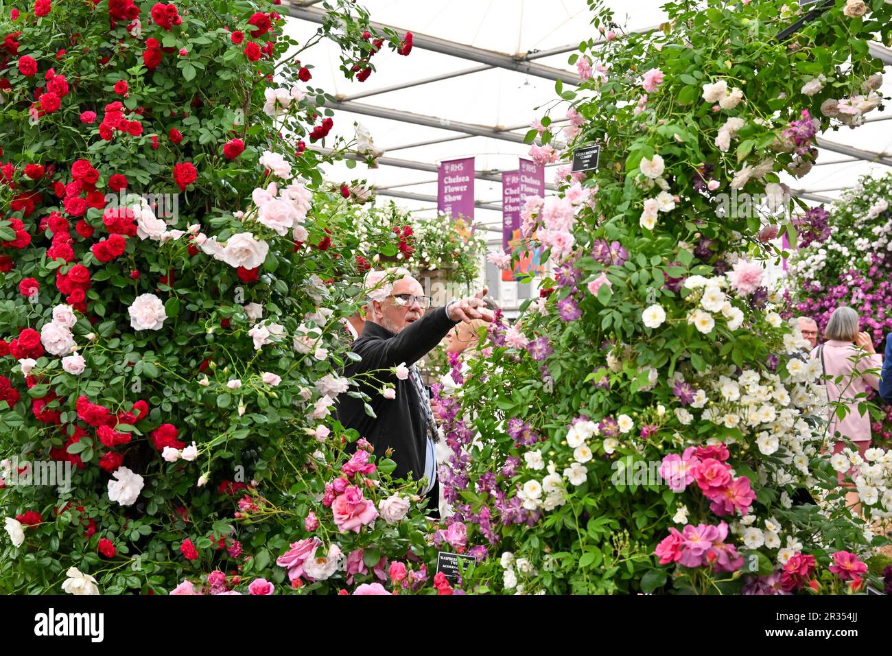London, UK. 22nd May, 2023. Chelsea, London, UK on May 22 2023. Rose ...