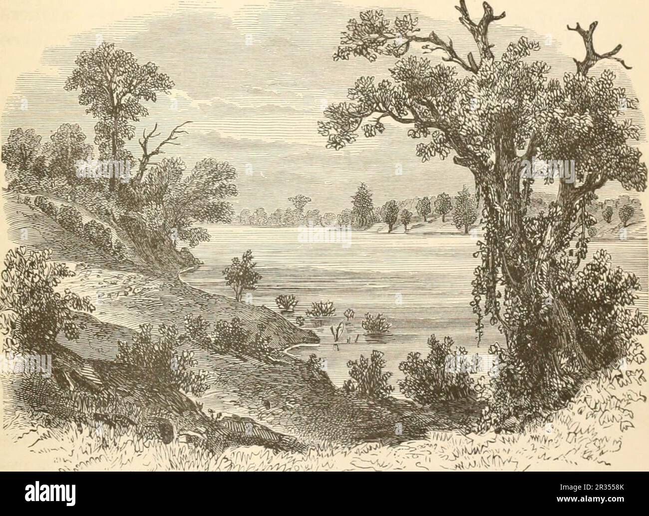 "The history of our country from its discovery by Columbus to the ...