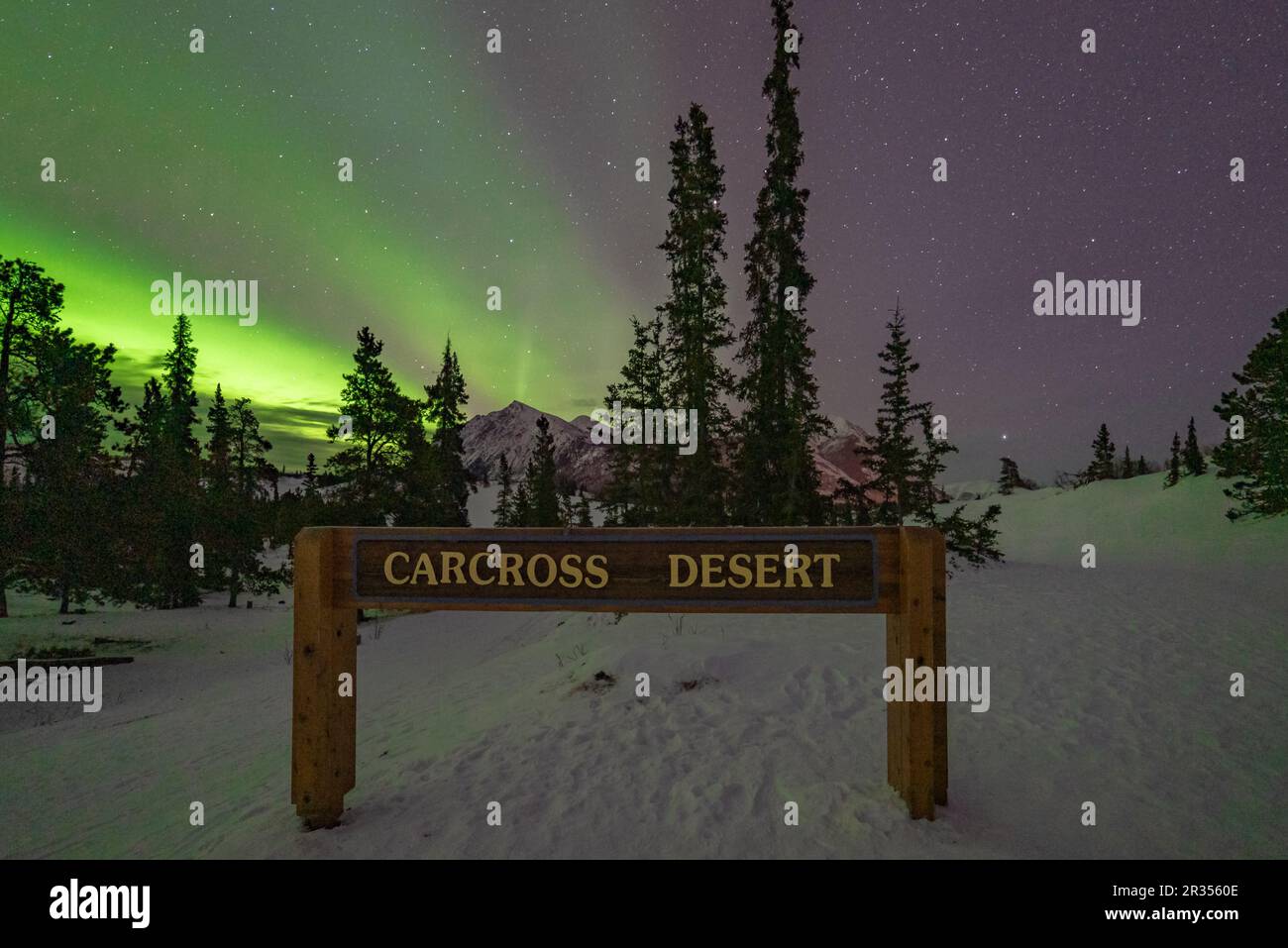 Northern lights display seen in northern Canada, Yukon Territory. Sign ...