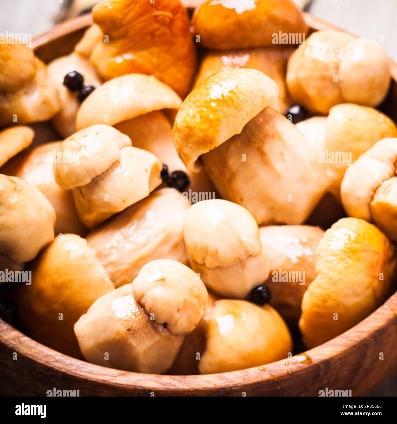 Pickled white boletus Stock Photo - Alamy