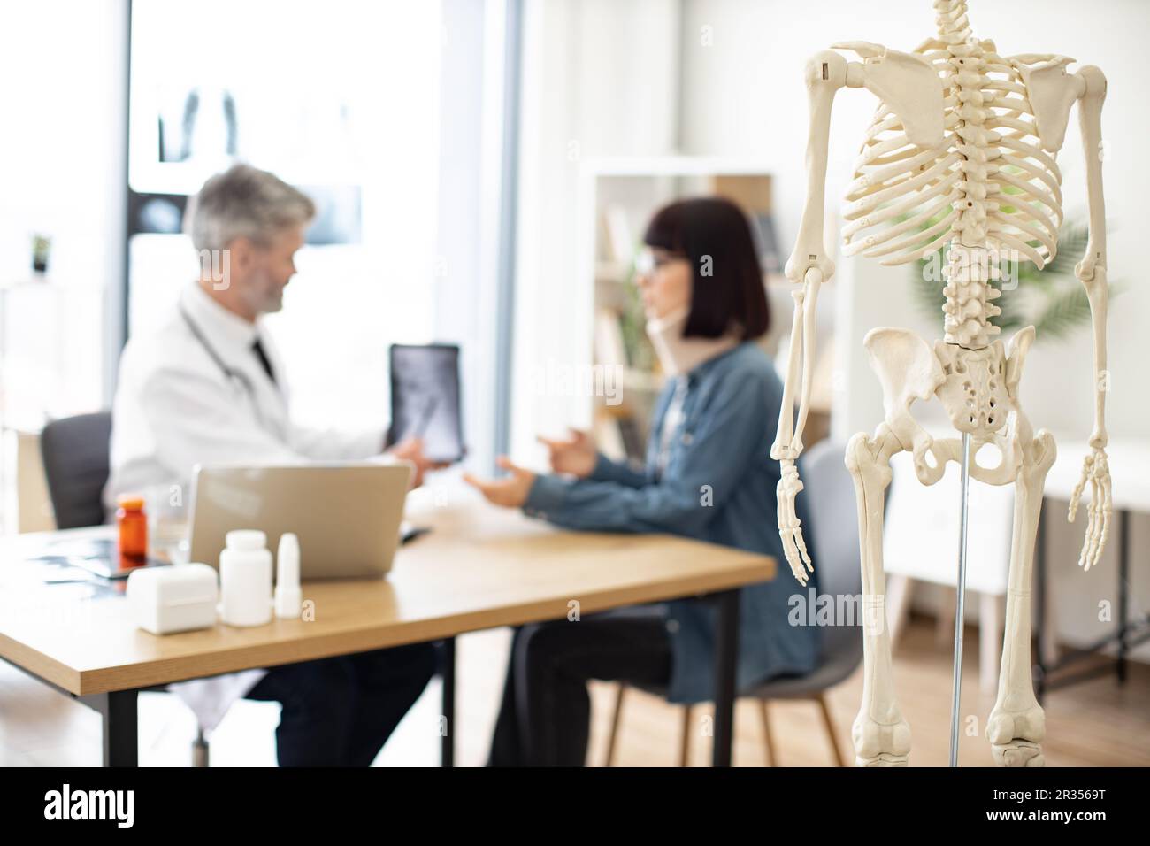 Focus on back view of teaching model located in consulting room of ...