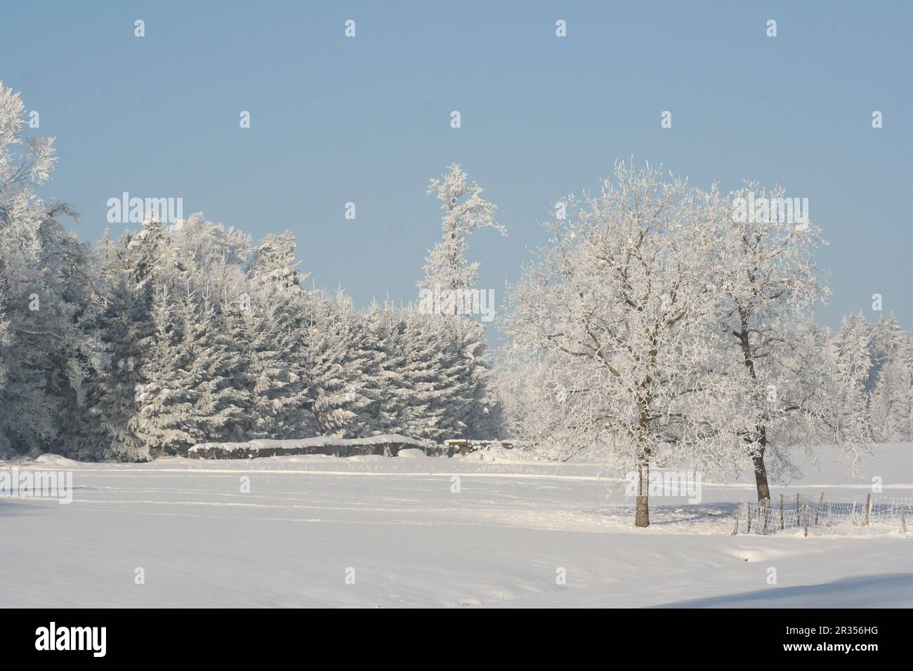 Snowscape hi-res stock photography and images - Alamy