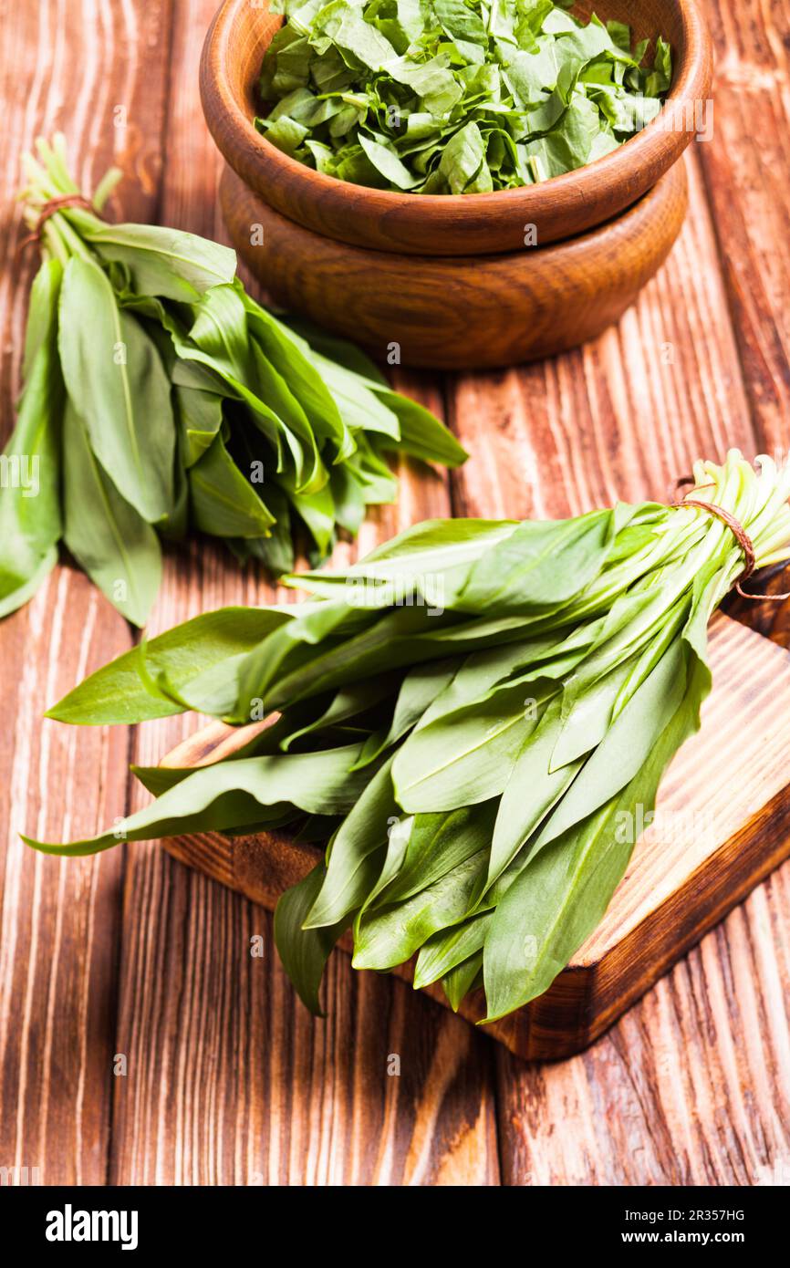 Wild garlic stem hi-res stock photography and images - Alamy
