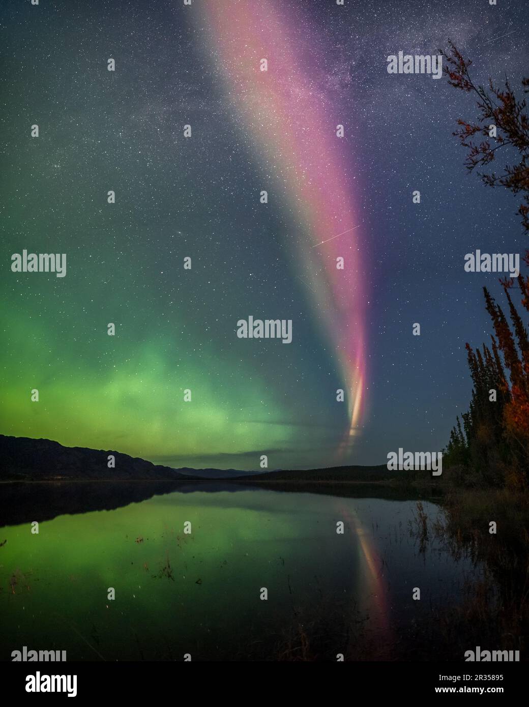 Northern lights display seen in northern Canada, Yukon Territory. Aurora Borealis seen along ...