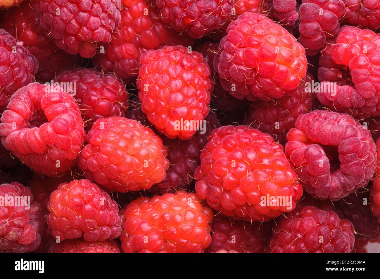 Close up vibrant fruit hi-res stock photography and images - Alamy