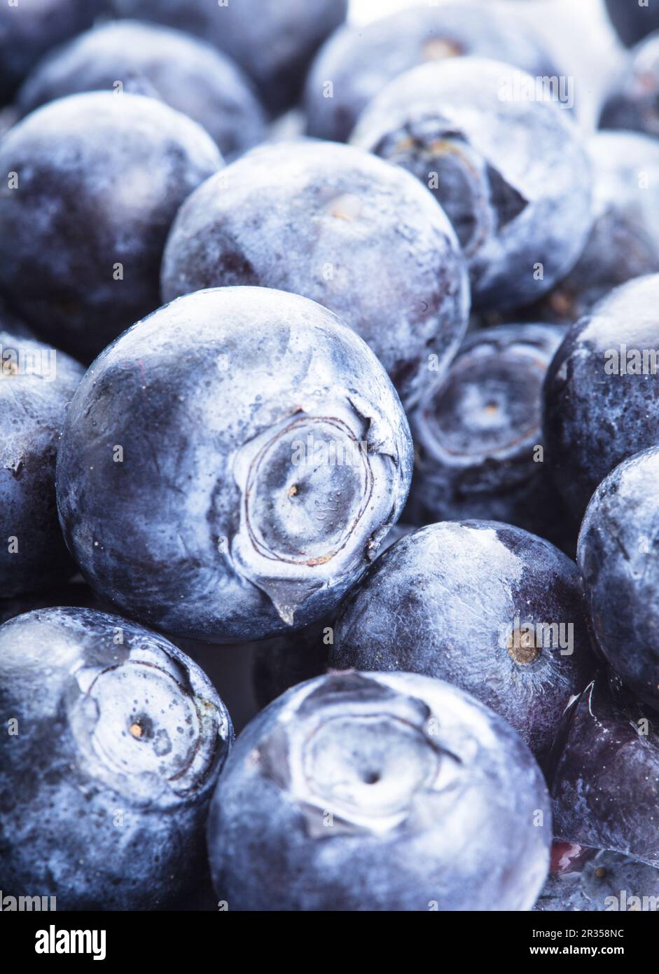 Blueberry close up Stock Photo - Alamy