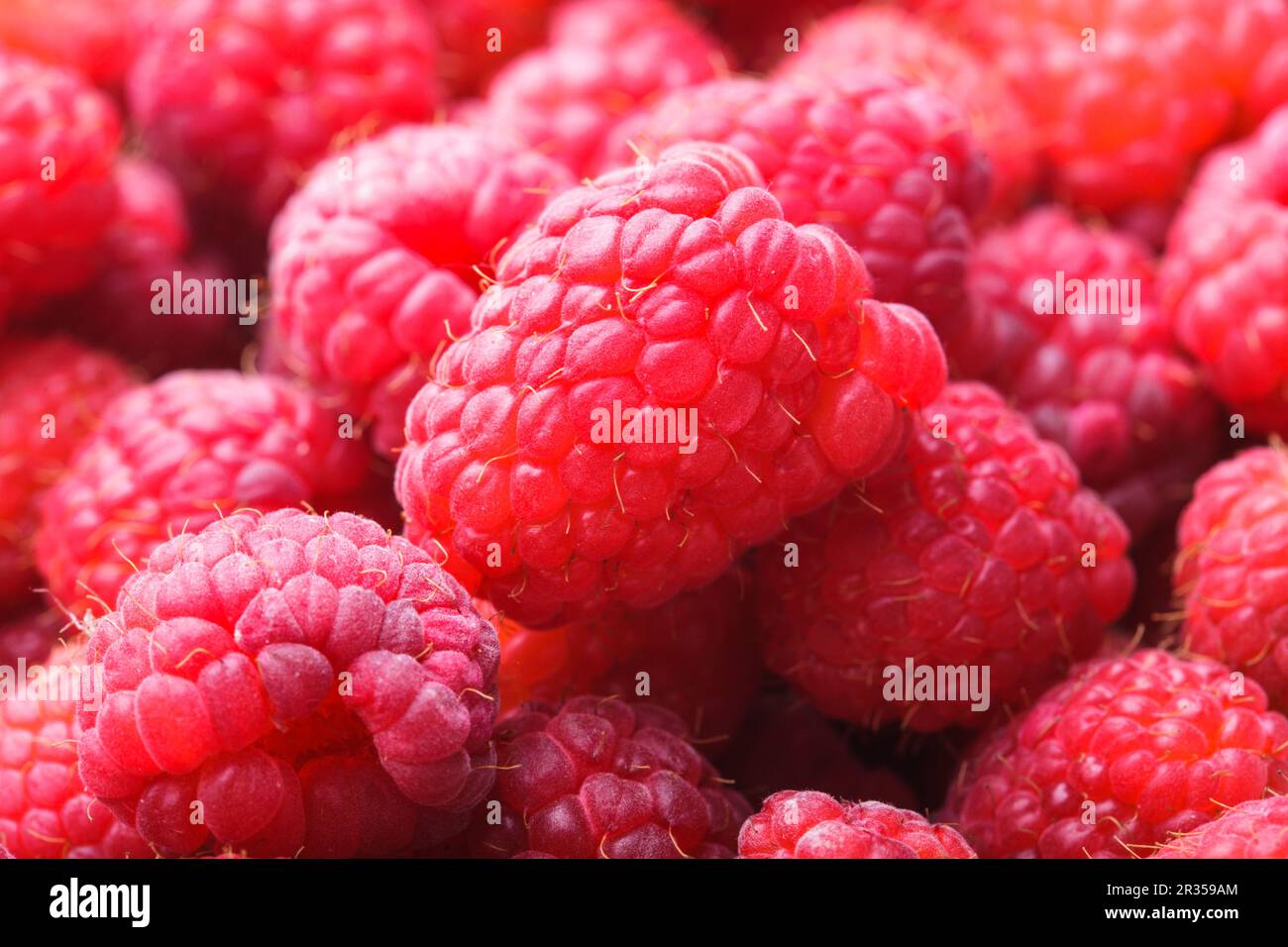 Raspberry texture close up hi-res stock photography and images - Alamy