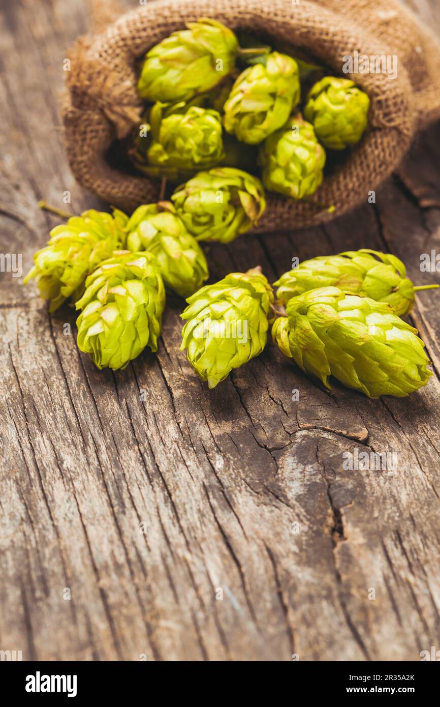 Pile of hops hi-res stock photography and images - Alamy