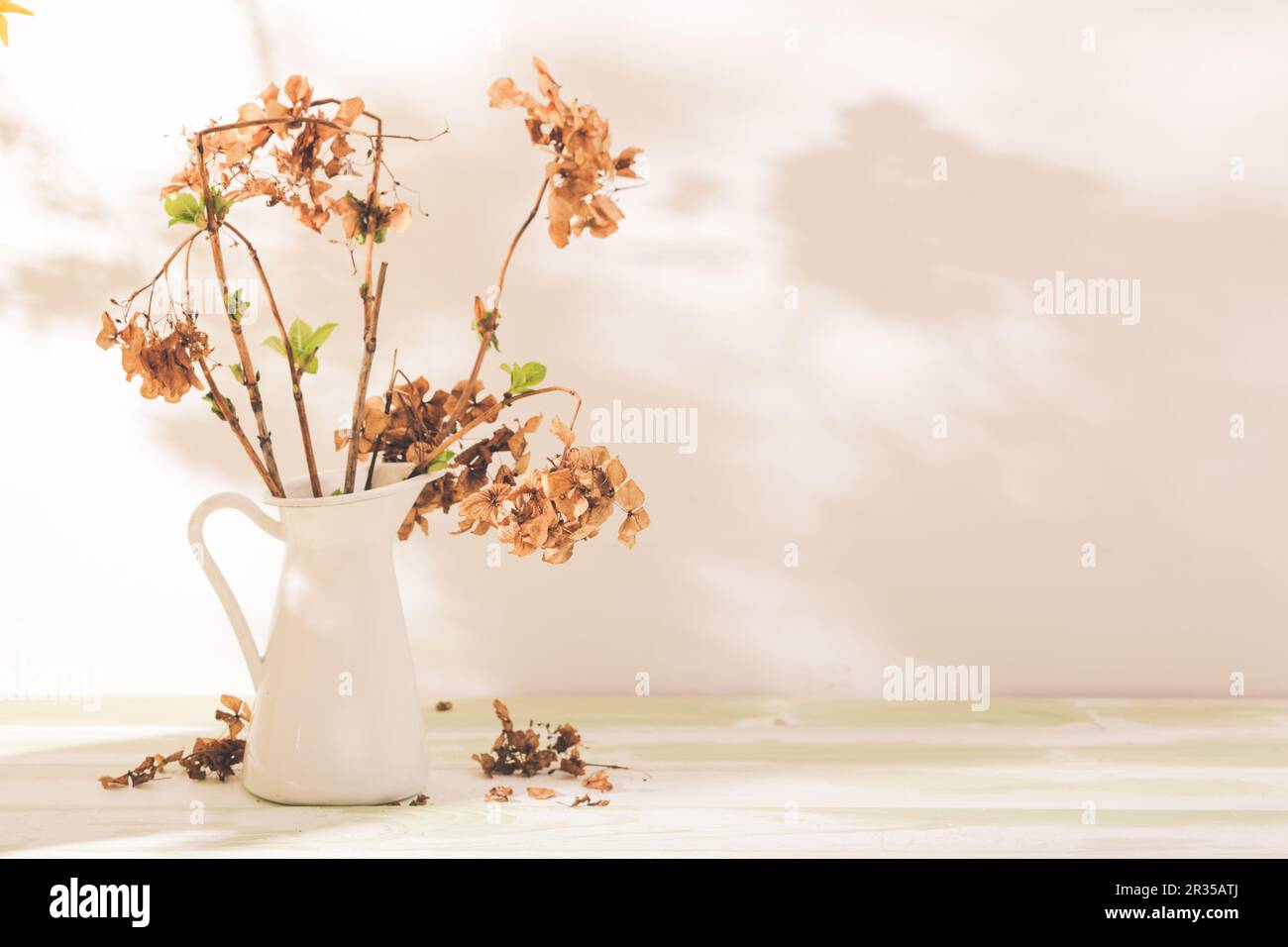 Old and new leaves hi-res stock photography and images - Alamy