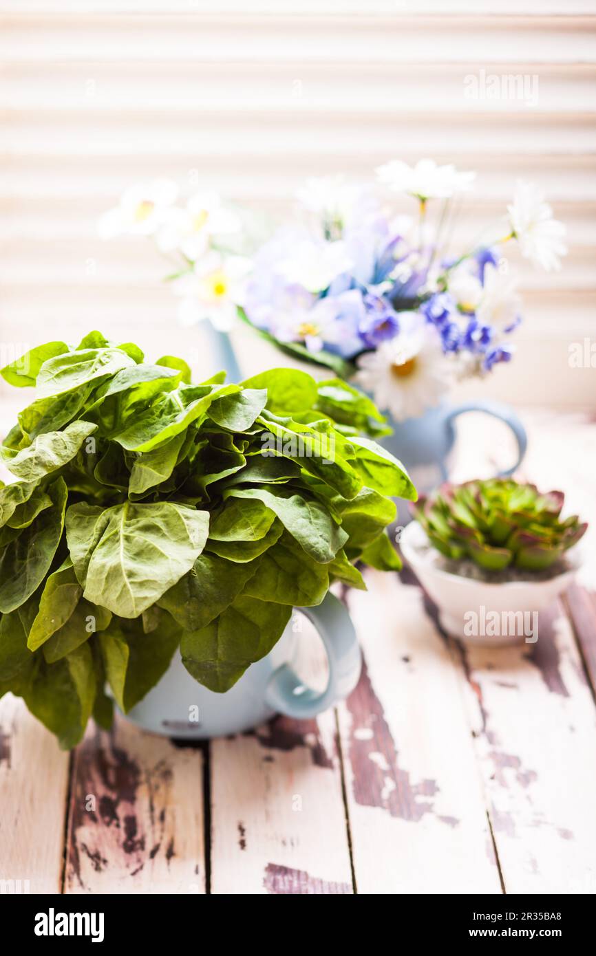 Spinach bunch in cup Stock Photo - Alamy