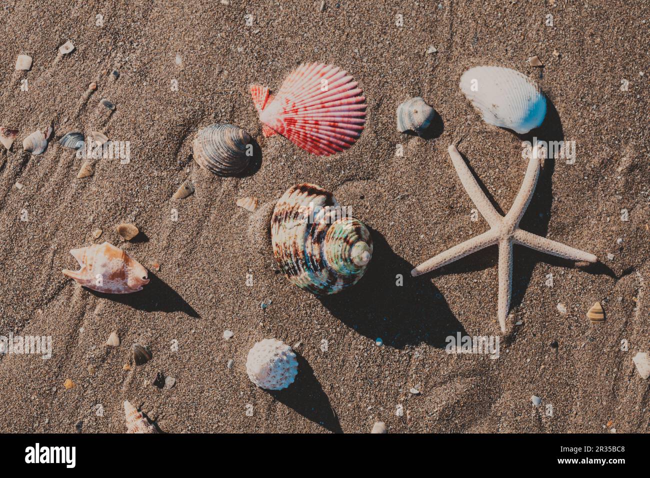 Aquatic view hi-res stock photography and images - Alamy