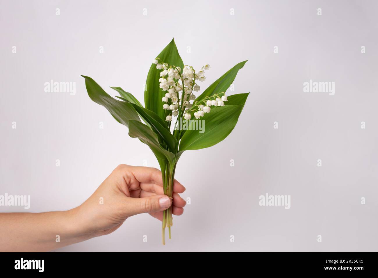 may flowers. bouquet of lily of the valley Stock Photo - Alamy