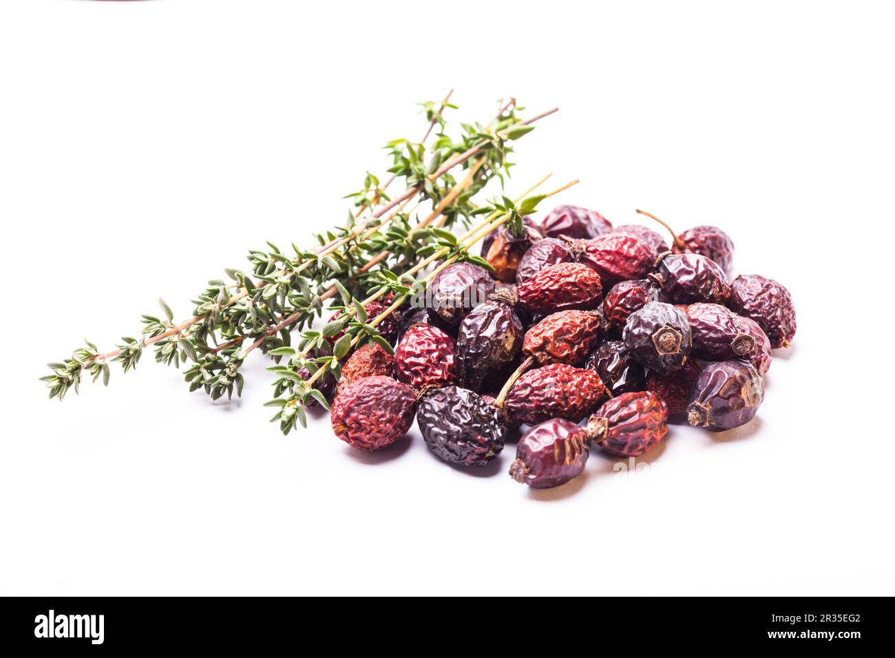 Rosehip berries autumn Cut Out Stock Images & Pictures - Alamy