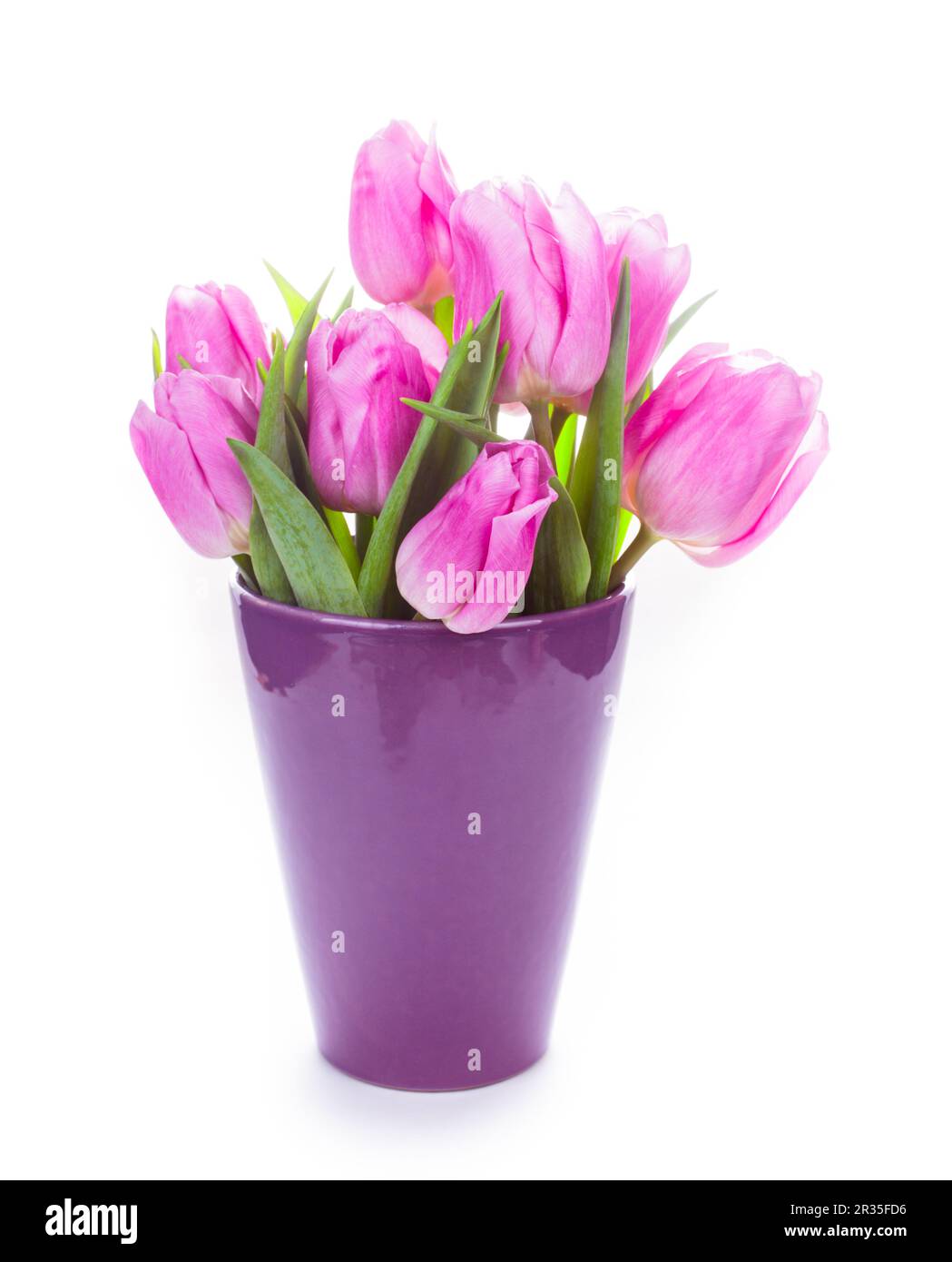 Tulips flowers design Cut Out Stock Images & Pictures - Alamy