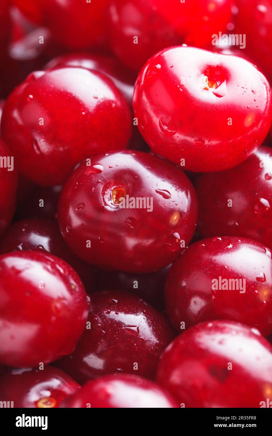 Maroon ripe cherries hi-res stock photography and images - Alamy