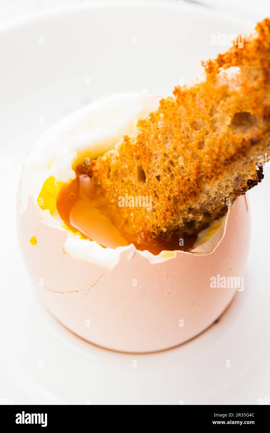 Soft shell egg hi-res stock photography and images - Alamy