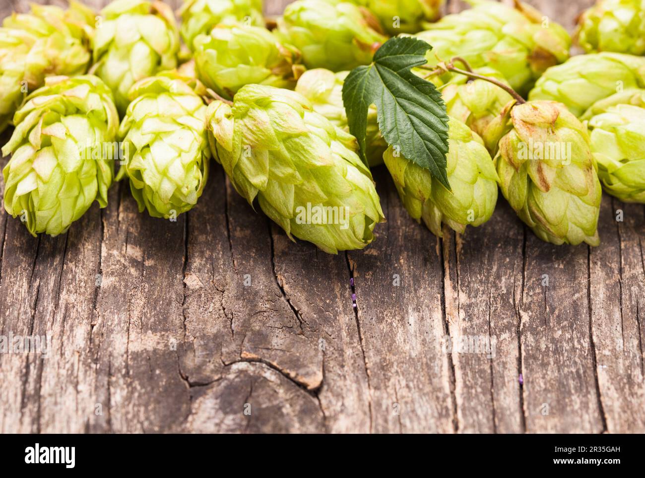 Pile of hops hi-res stock photography and images - Alamy