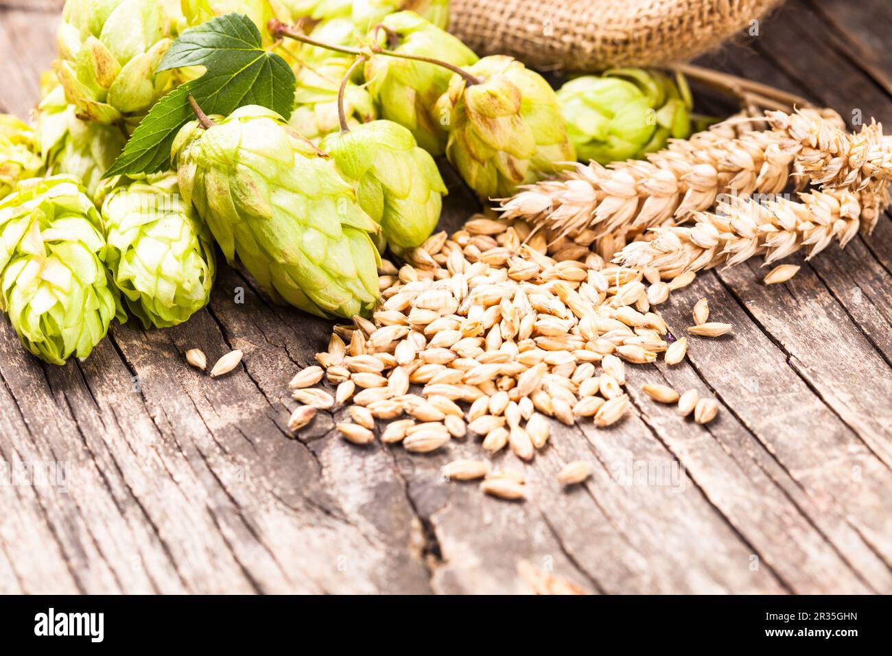 The Beer concept Stock Photo - Alamy