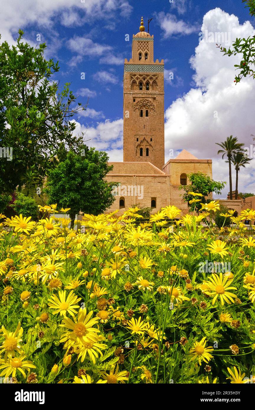 Koutoubia mosque and minaret (XII). Marrakech. Morocco. Maghreb. Africa ...