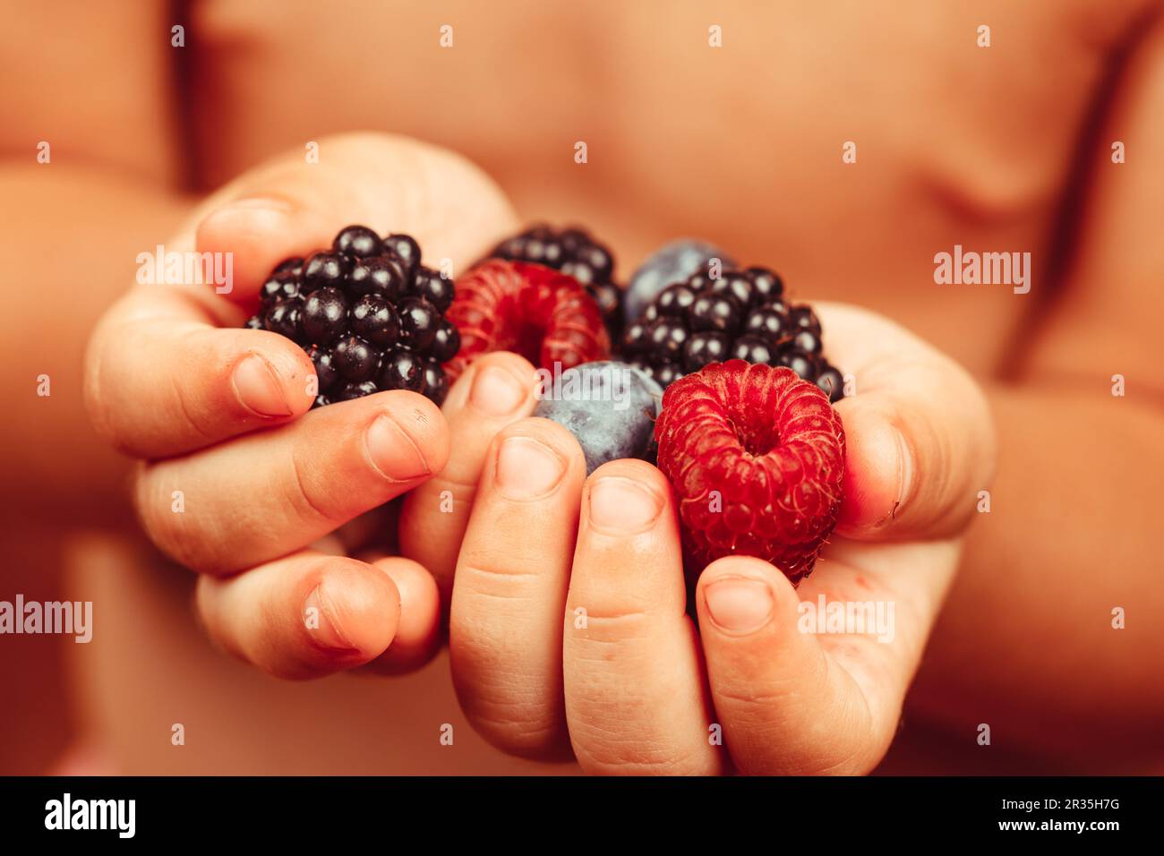 Hands and berries hi-res stock photography and images - Alamy