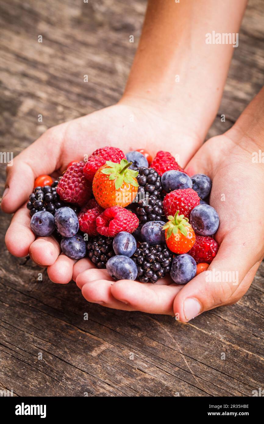 Hands and berries hi-res stock photography and images - Alamy