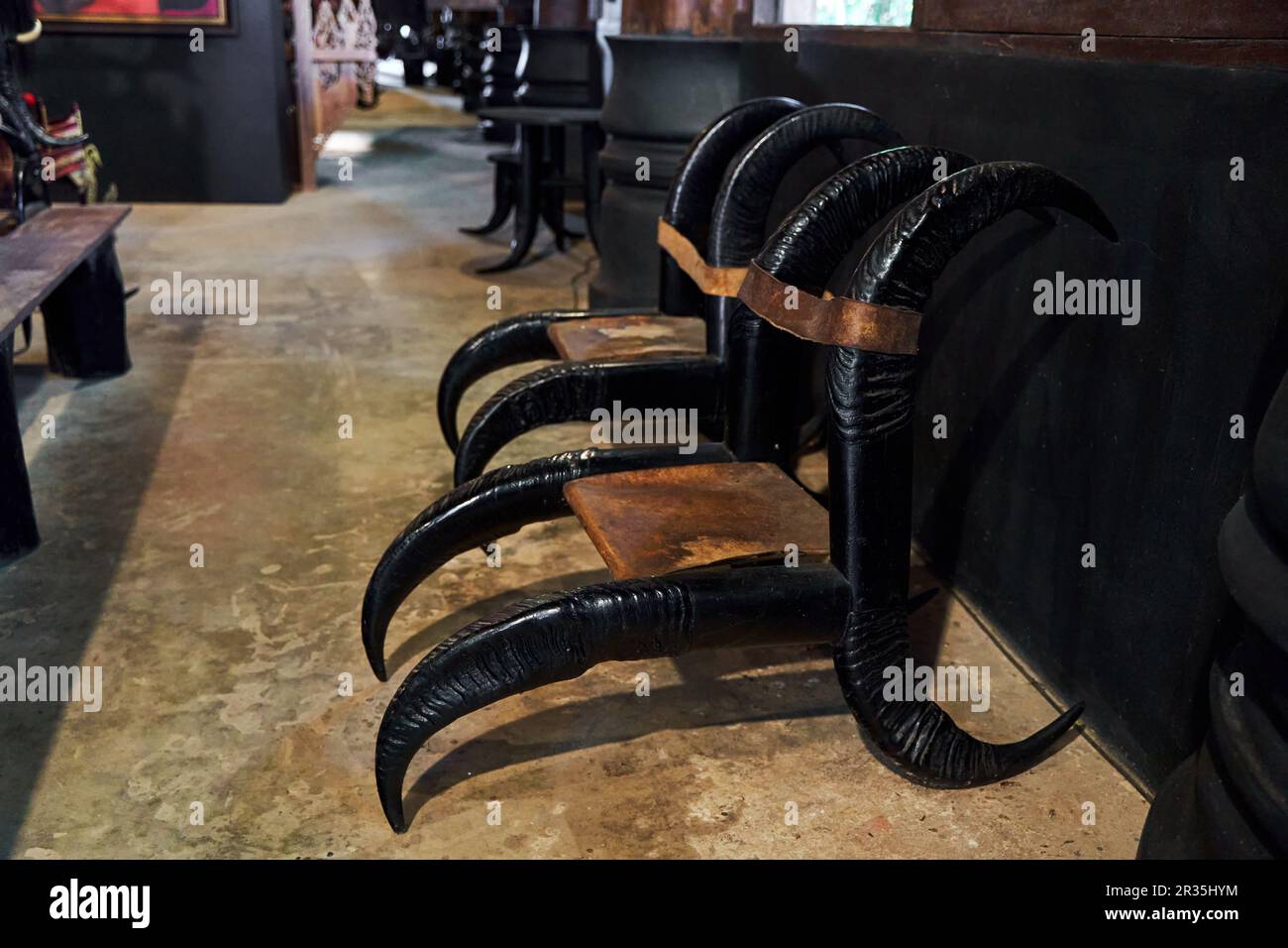 The Horned Guardians: Buffalo Installation in a Mysterious Black Temple ...