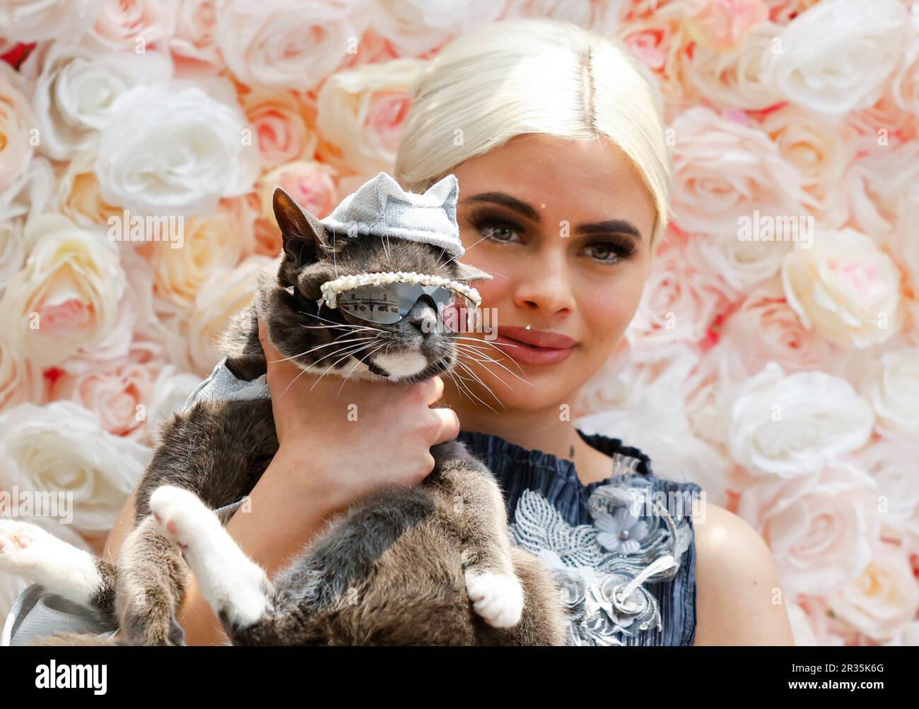 Doja cat met gala hi-res stock photography and images - Alamy