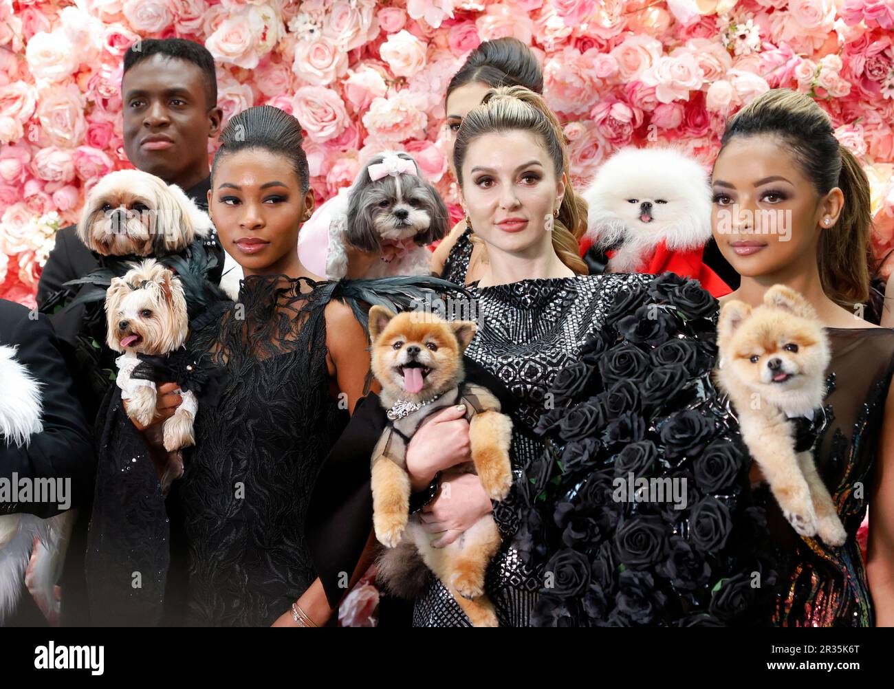 New York, United States. 22nd May, 2023. Dogs and Cats dressed in ...