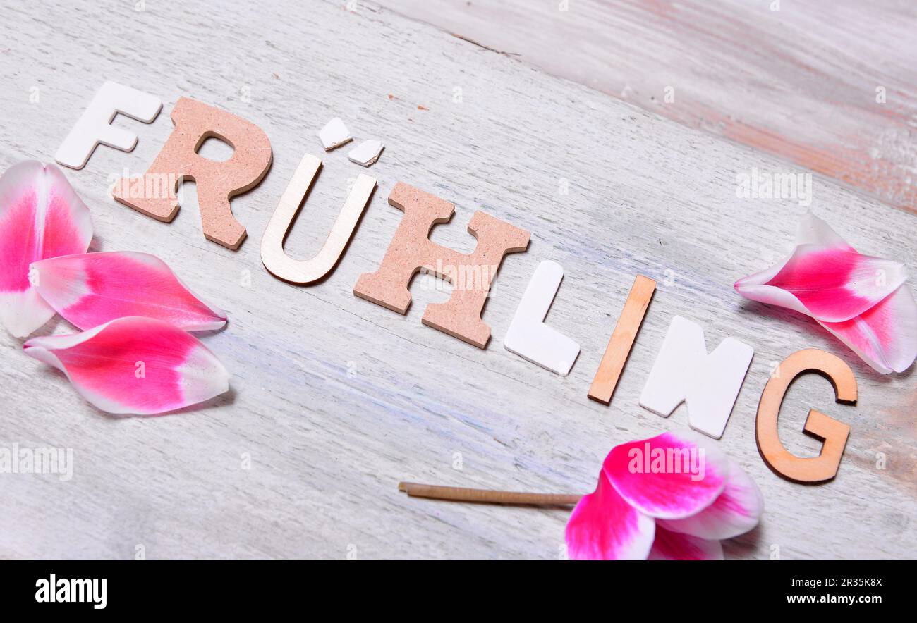 Spring word letters wood Stock Photo - Alamy