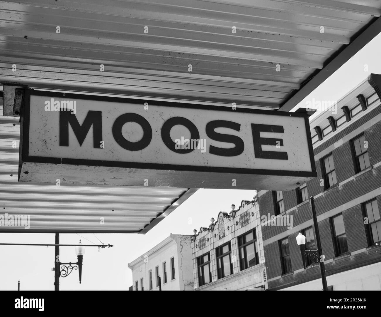 Moose Lodge Sign Maysville Ky USA 2023 Stock Photo - Alamy