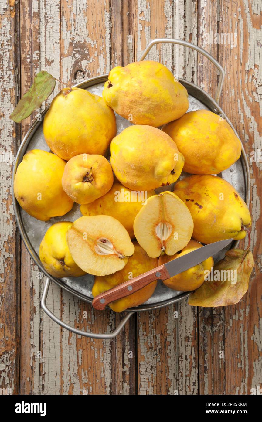 Many quinces hi-res stock photography and images - Alamy