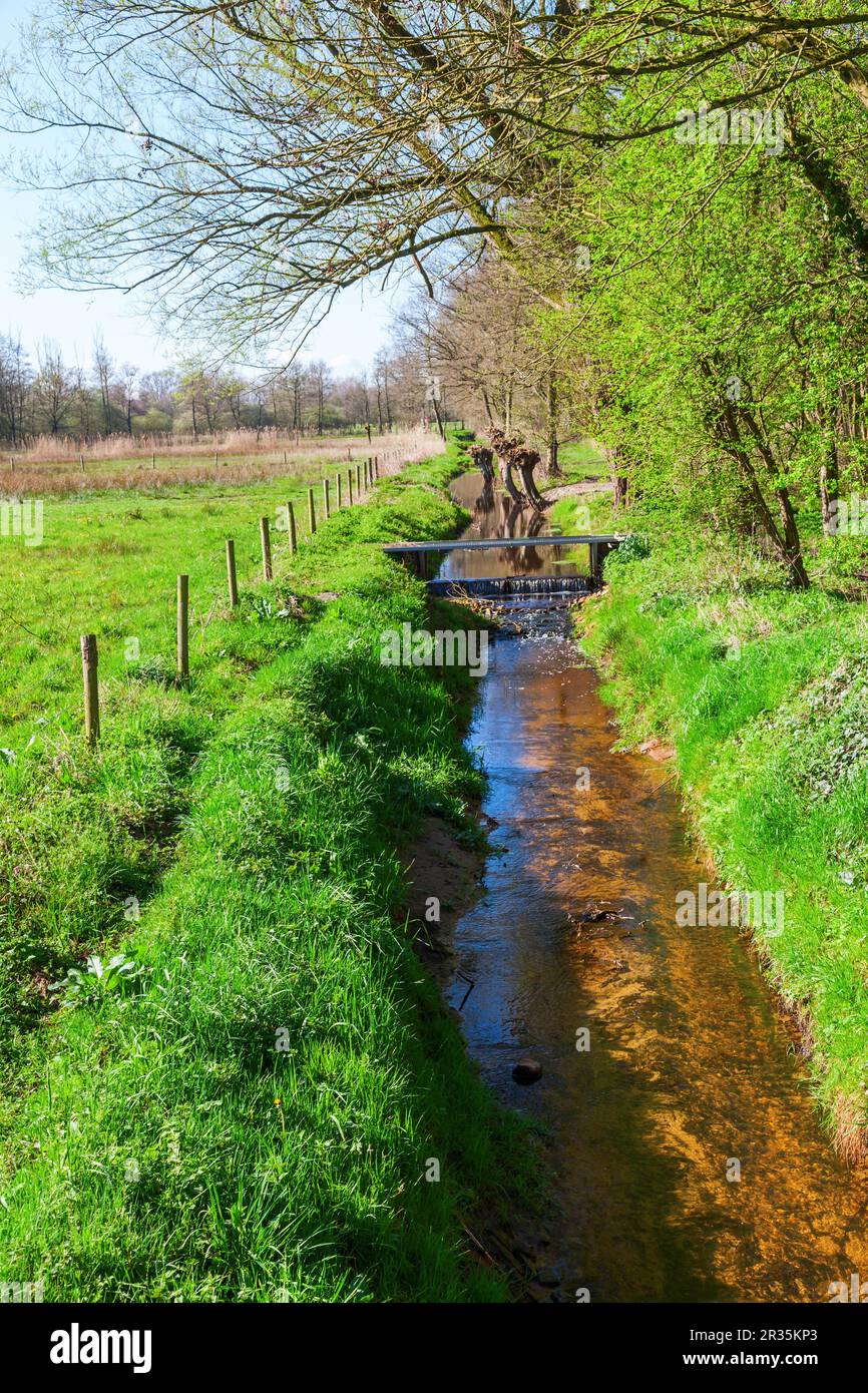 Brook landscape hi-res stock photography and images - Alamy