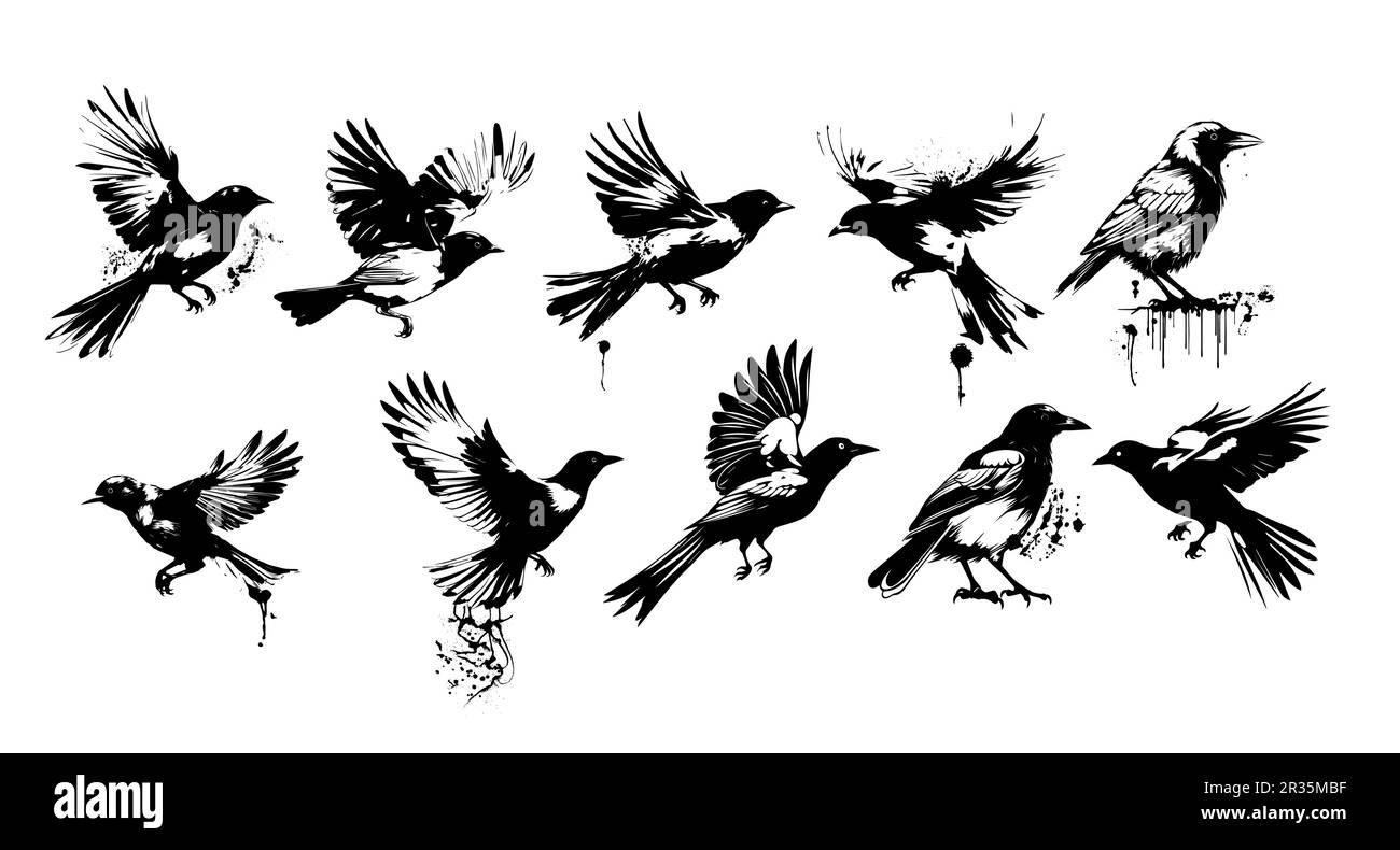 A flock of flying birds. Set of monochrome flying birds. Vector ...
