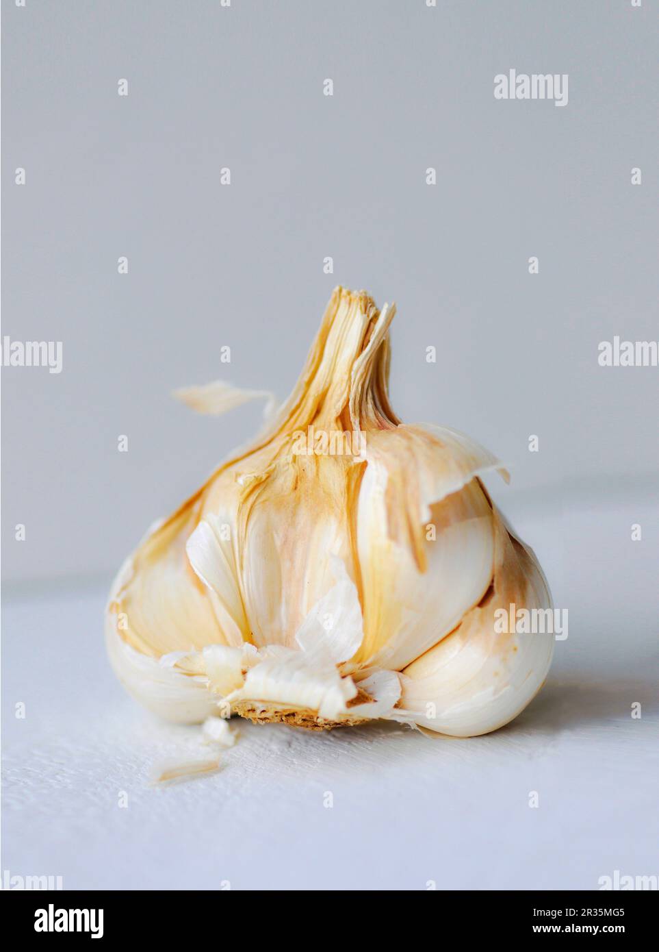 Garlic outline hi-res stock photography and images - Alamy