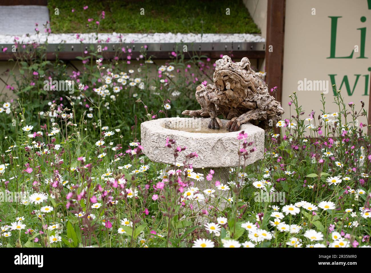 Chelsea, London, UK. 22nd May, 2023. Lindum Wildflower Turf have won ...
